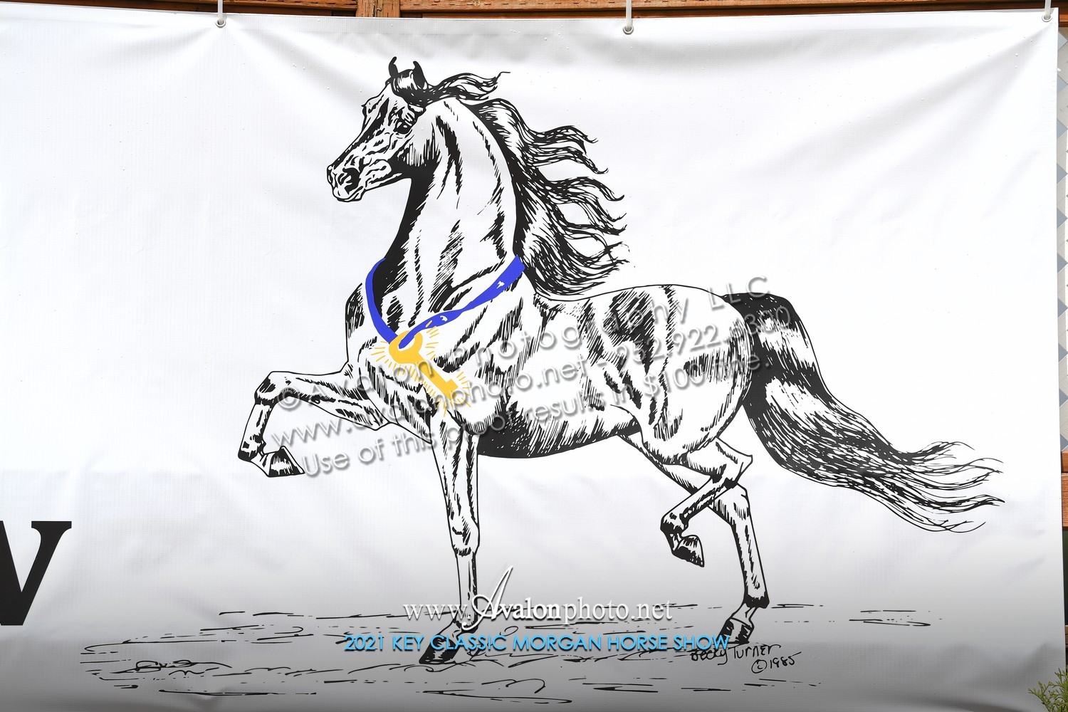 2021 Key Classic - HORSE SHOW PROOFS - 2021 Horse Shows - www ...