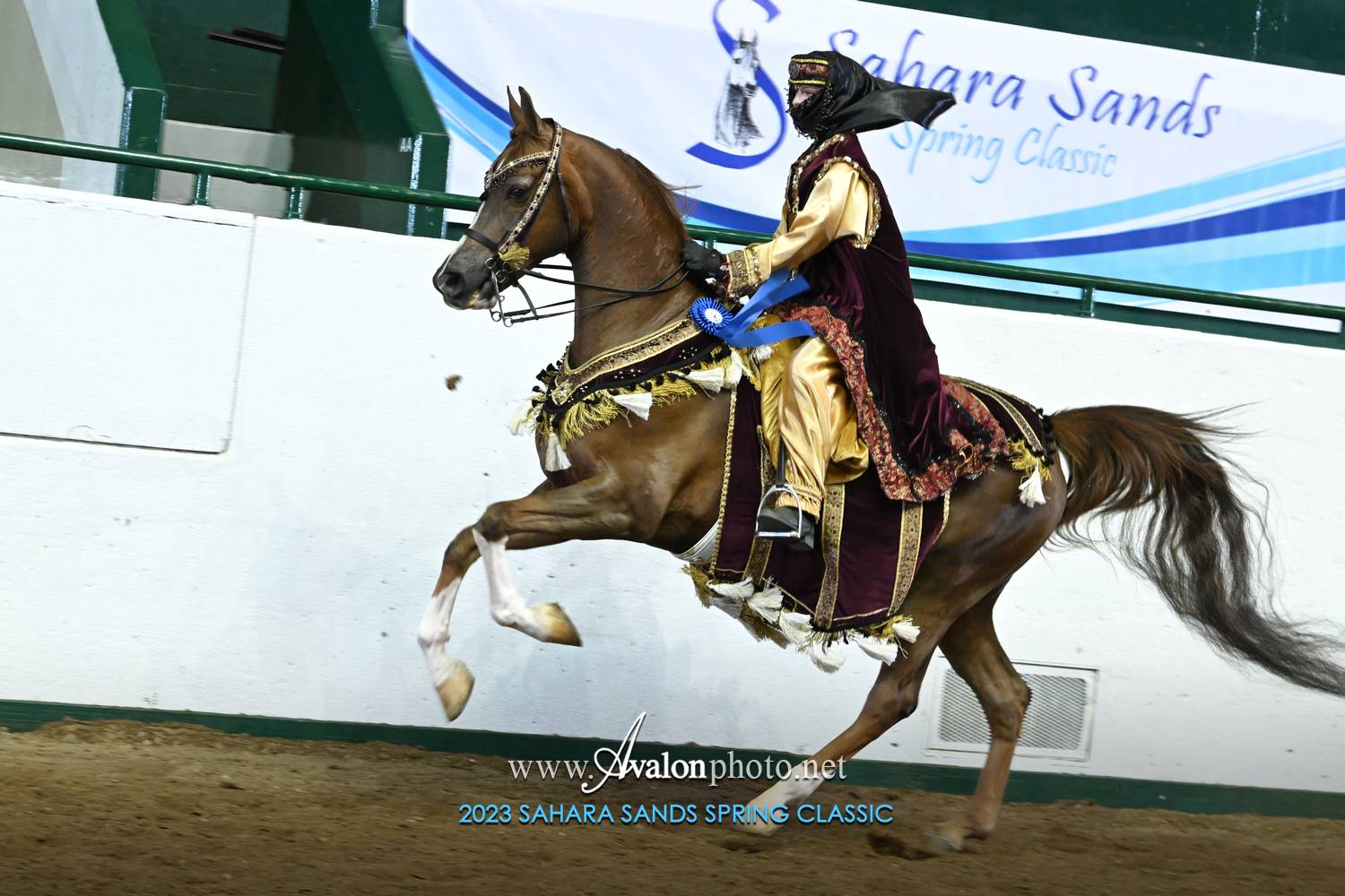2023 Sahara Sands Spring Classic - HORSE SHOW PROOFS - 2023 Horse Shows ...